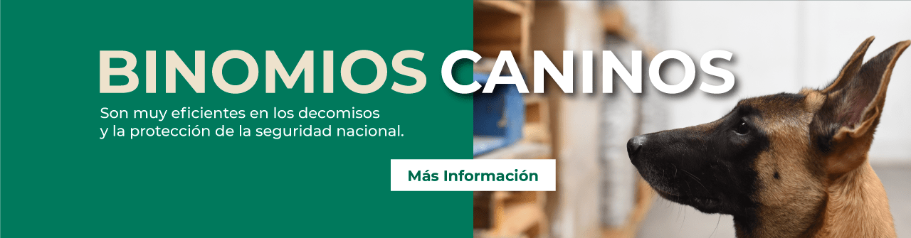 Unidad Canina – ANAM